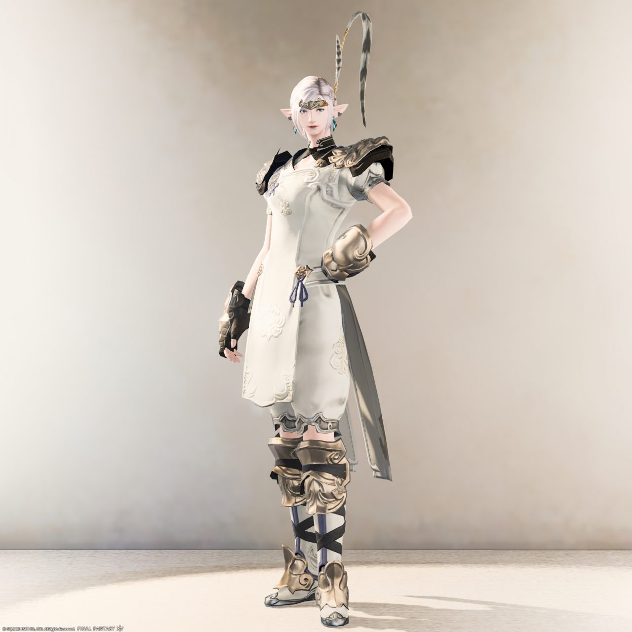 【FF14】テンプルシクラスRE / Augmented Temple Cyclas【FFXIV】