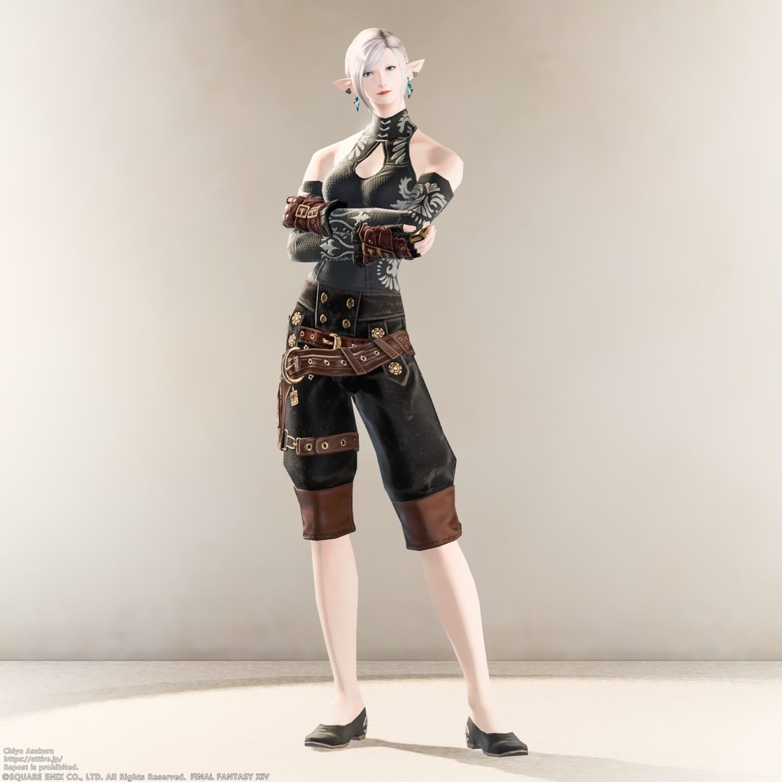 バロニアル・ジャケット【FF14 装備手帳】