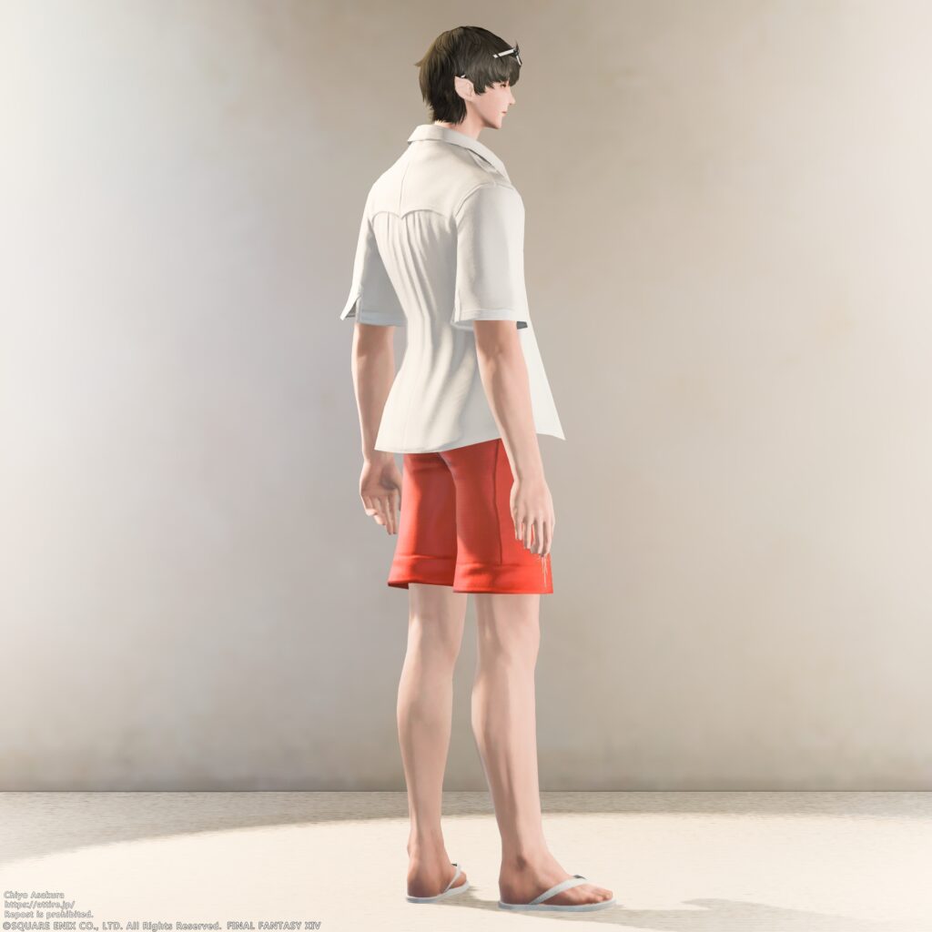 エンドレスサマートップ【FF14 装備手帳】